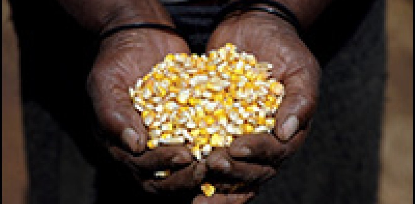 Promoting Regional Integration, Food Security in Africa | Wilson Center