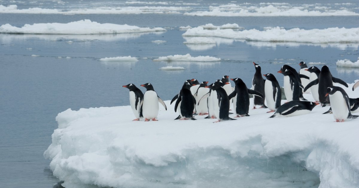 The Rules-Based Order in Antarctica and Global Challenges | Wilson Center